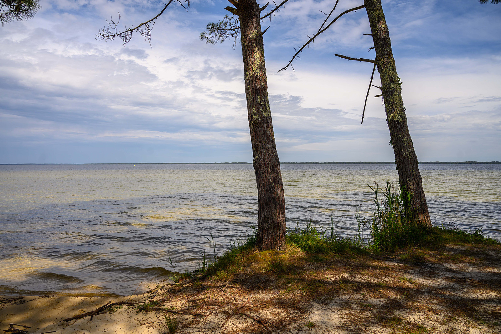 Lac de Cazaux - Sites Naturels à La Teste-de-Buch - Guide Bordeaux Gironde