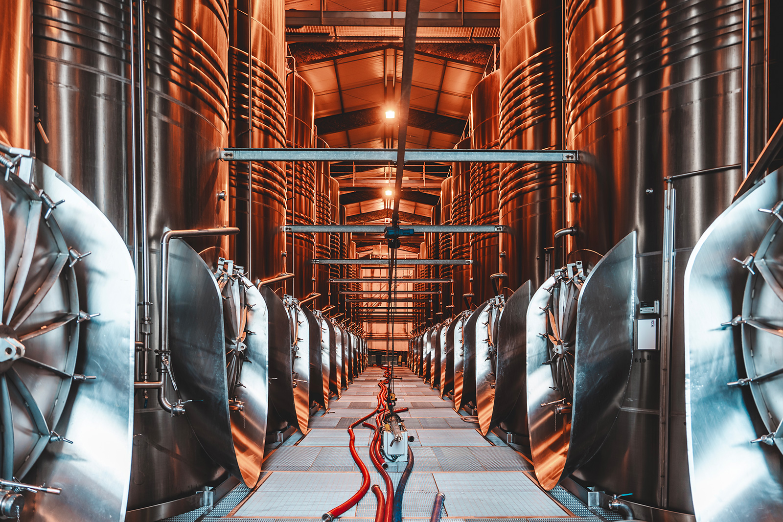 Cave de Rauzan - Visit the Vineyards / Oenotourism in Rauzan - Guide ...